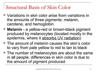 integumentary system | PPT