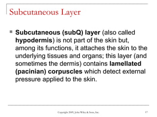 integumentary system | PPT