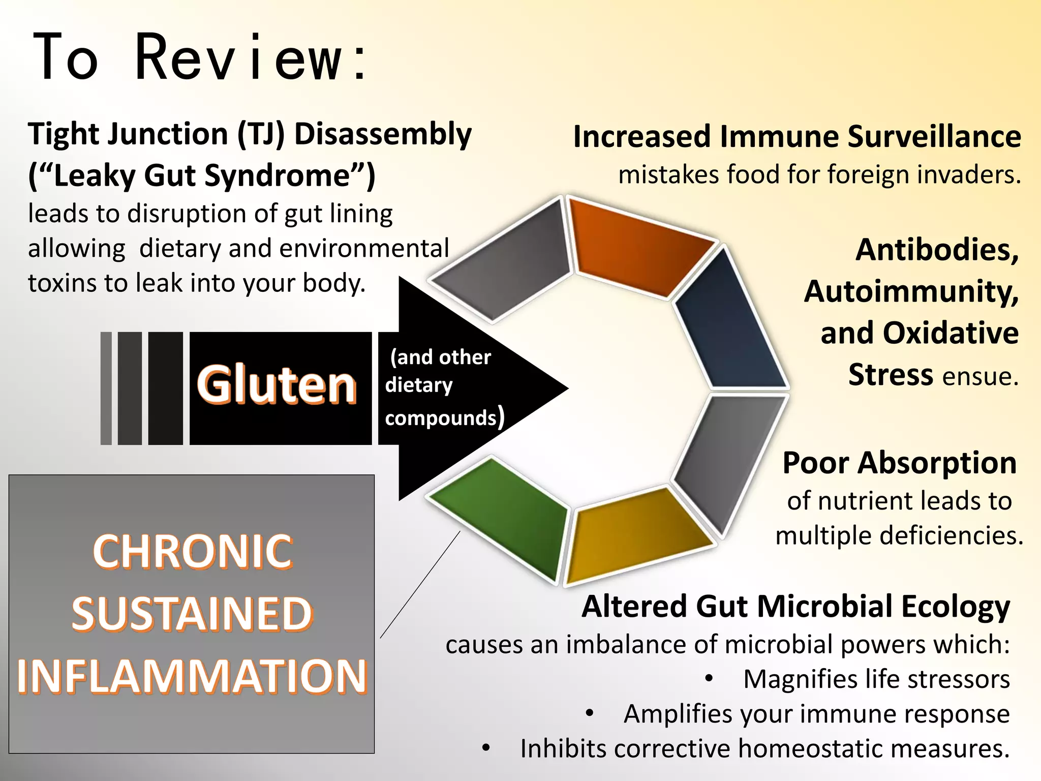 Cyrex array 3 for non celiac gluten sensitivity | PDF