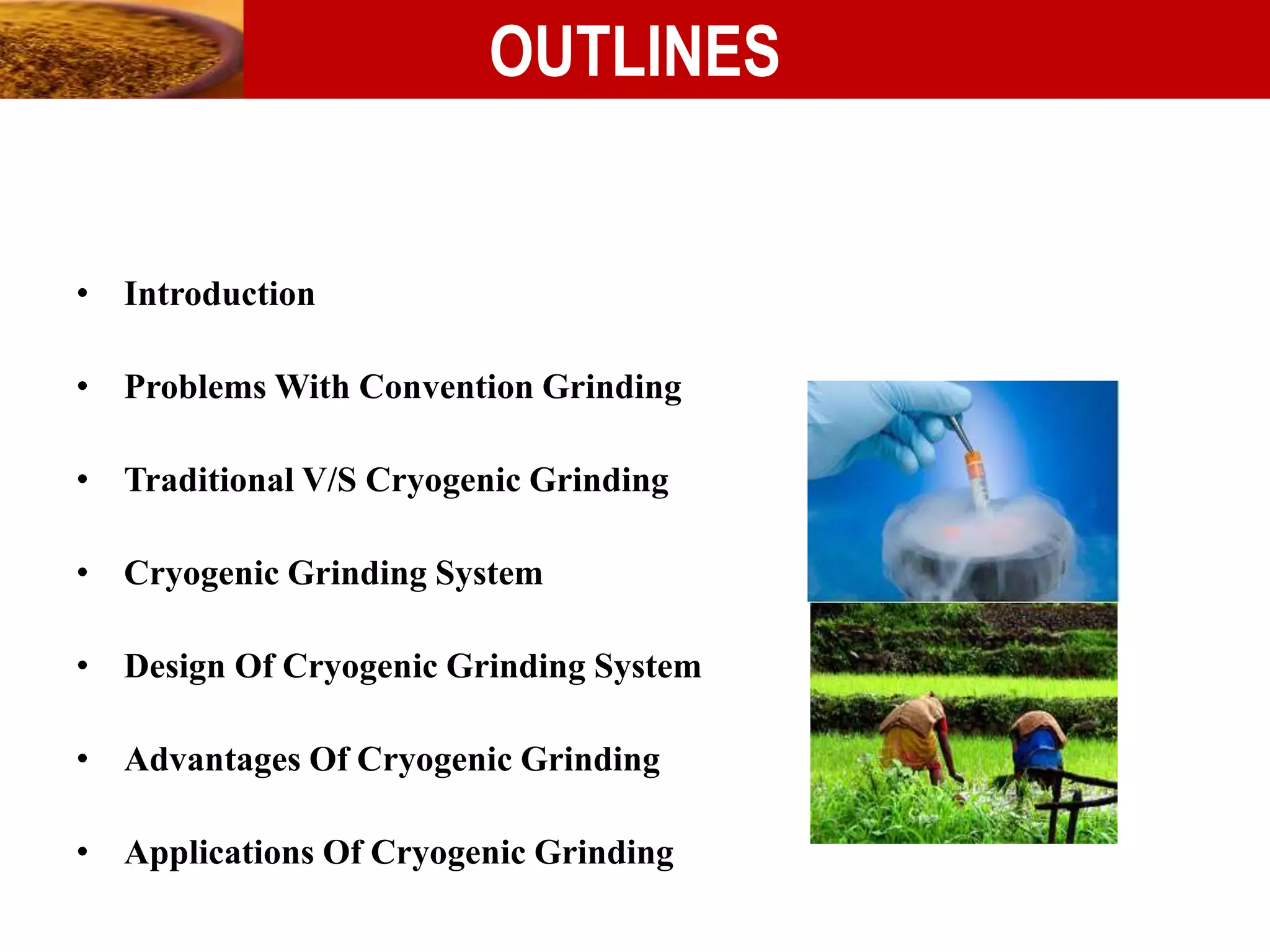 Cyrogenic grinding application in food by sunil meena | PPTX