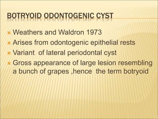 Botryoid Odontogenic Cyst