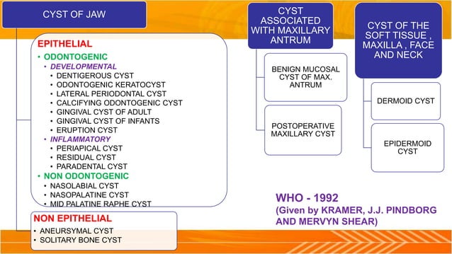 Cyst of the jaw | PPTX | Dental Health | Diseases and Conditions