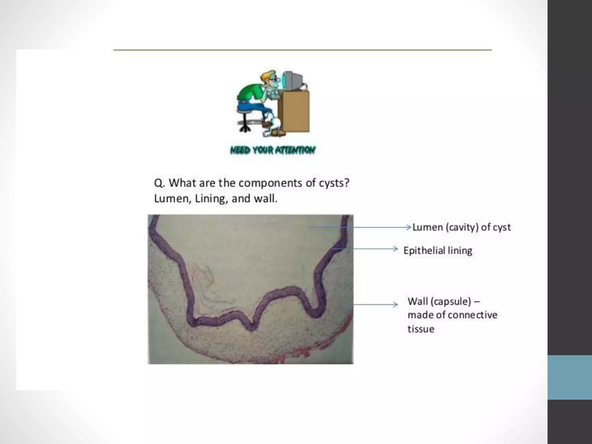 Periapical cyst | PPTX