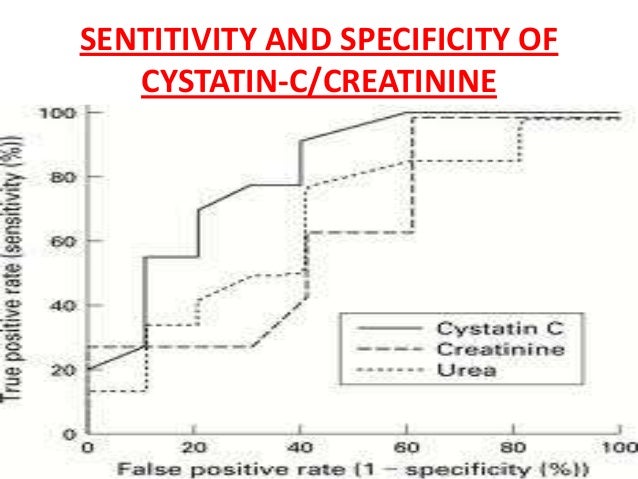 Cystatin c