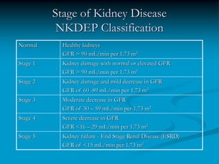 Cystatin-C-as-a-Marker-of-Renal-Function.pptx