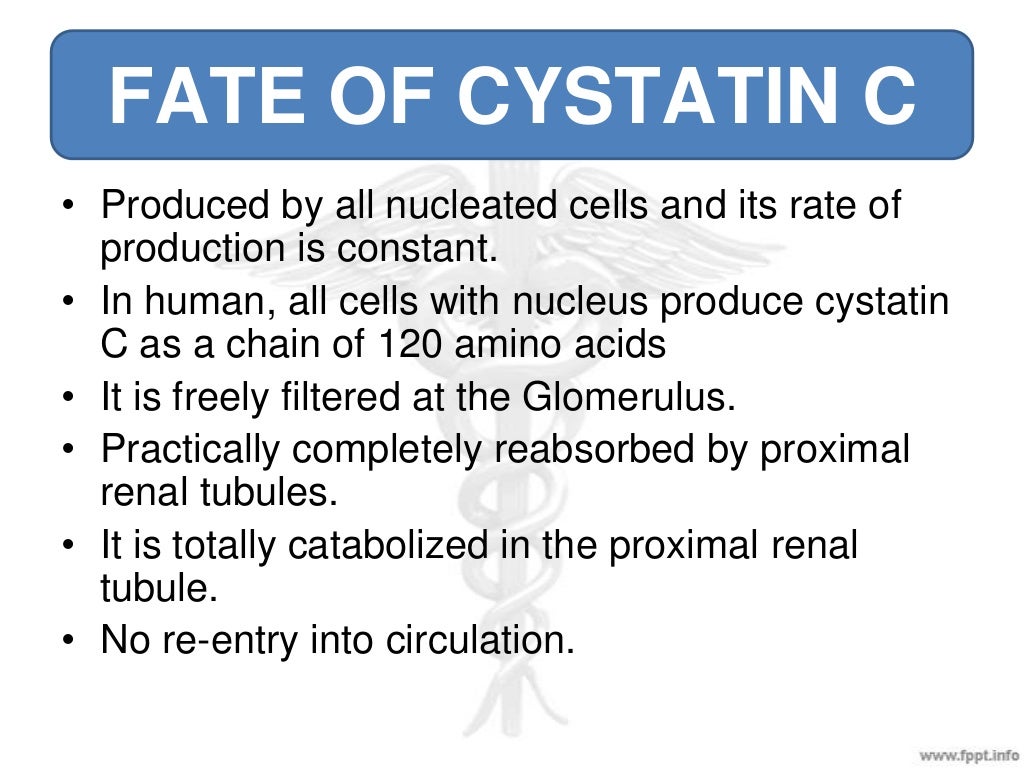 Cystatin c 2014