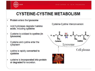Cysteamine | PDF