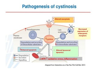 Cysteamine | PDF