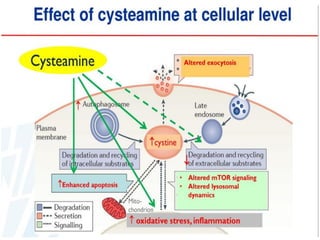 Cysteamine | PDF