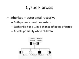 Cystic fibrosis | PPTX | Digestive Disorders | Diseases and Conditions
