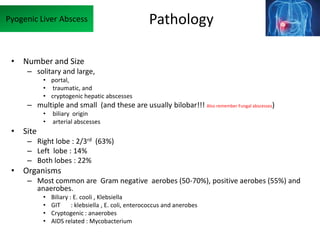 Cystic diseases of liver | PPT