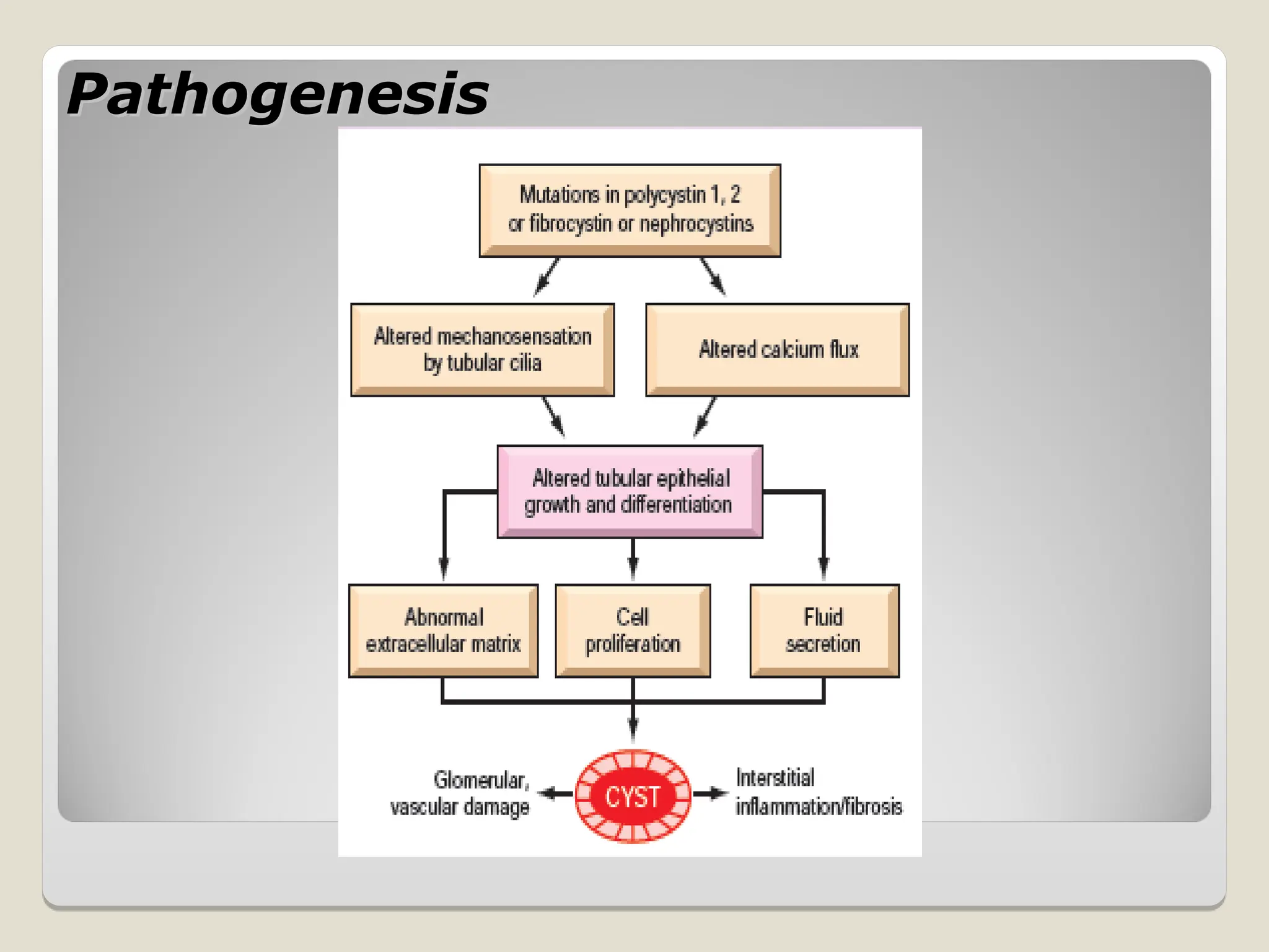 Cystic Diseases of the Kidney; Pathology of major cystic diseases of ...