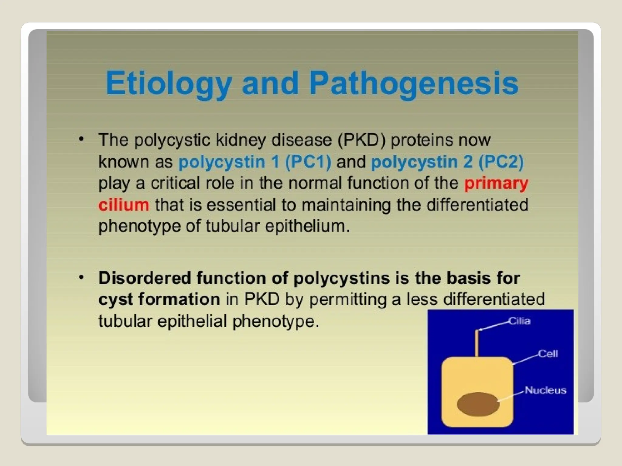 Cystic Diseases of the Kidney; Pathology of major cystic diseases of ...