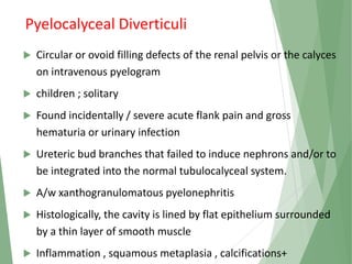 Cystic diseases of kidney | PPTX