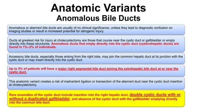 Cystic Duct Normal Anatomy and Anatomic Variants.pptx | Digestive ...