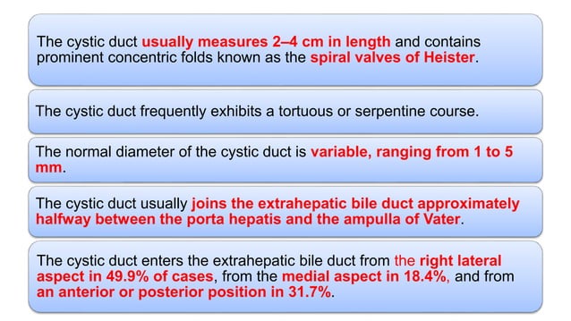 Cystic Duct Normal Anatomy and Anatomic Variants.pptx | Digestive ...