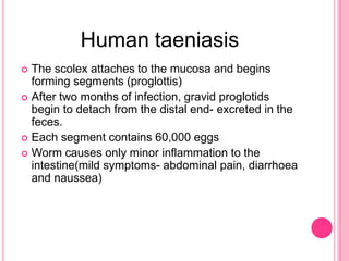 Cystercercosis and cases0.pptx