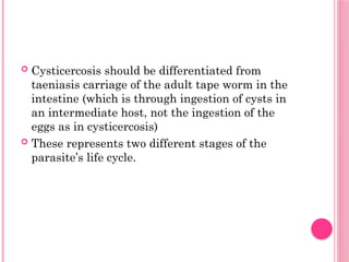 cysticercosis-161031153333333331250.pptx