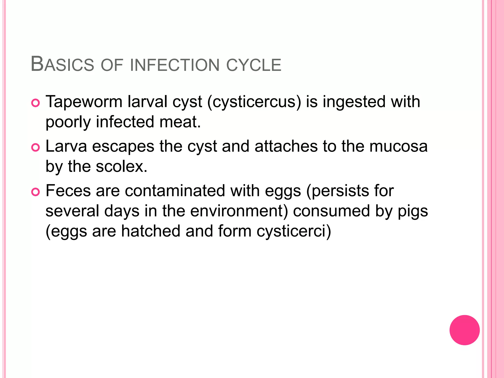 Cysticercosis | PPTX
