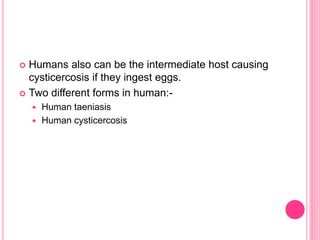 Cysticercosis | PPTX