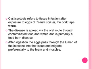 Cysticercosis | PPTX