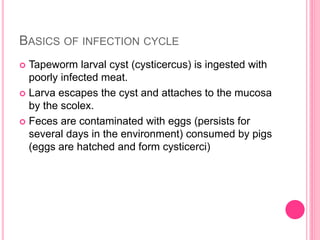 Cysticercosis | PPTX