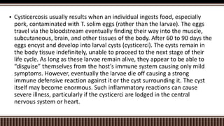 Cysticercosis -types symptoms| management |prevention (medical notes ...