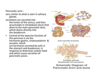 Cystic fibrosis | PPTX