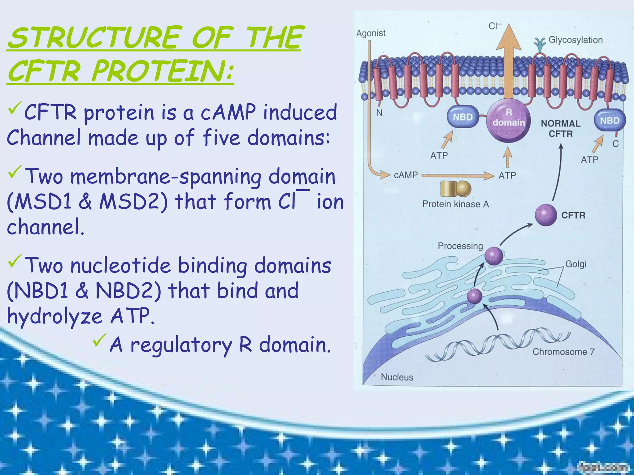 Cysticfibrosis | PPT