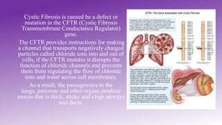 Cystic fibrosis- Ashley Verbeek | PPT