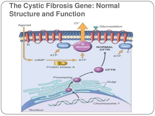 Cystic fibrosis