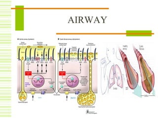 CYSTIC FIBROSIS | PDF