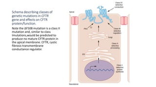 CYSTIC FIBROSIS.pptx for medical students | PPTX