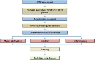 CYSTIC FIBROSIS - TYPES CAUSES AND FUNCTIONAL CLASSES OF CFTR GENE ...