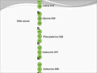Cystic Fibrosis(03pp) | PPT
