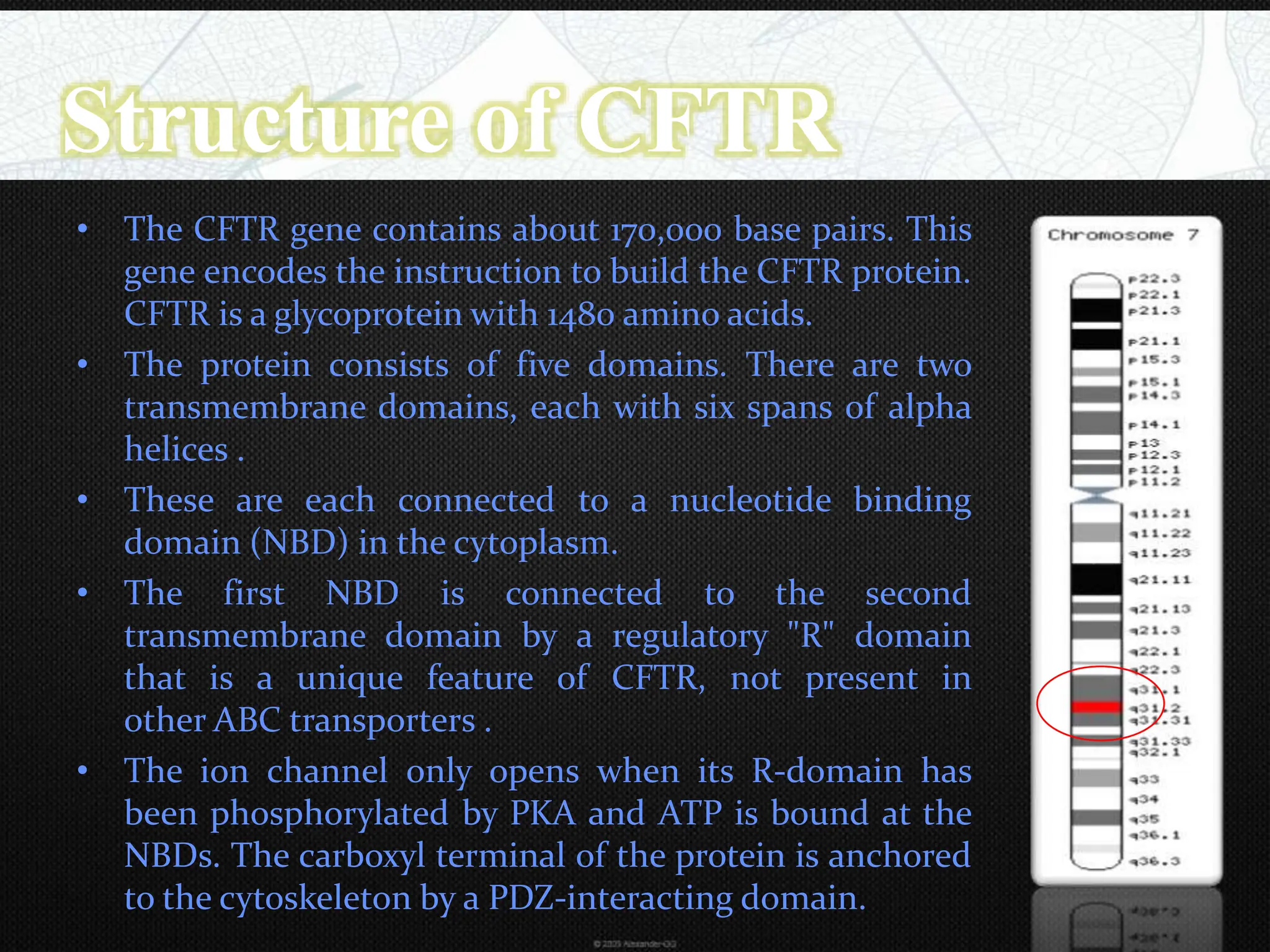 cystic fibrosis_Abhishek kumar_2nd group.pptx