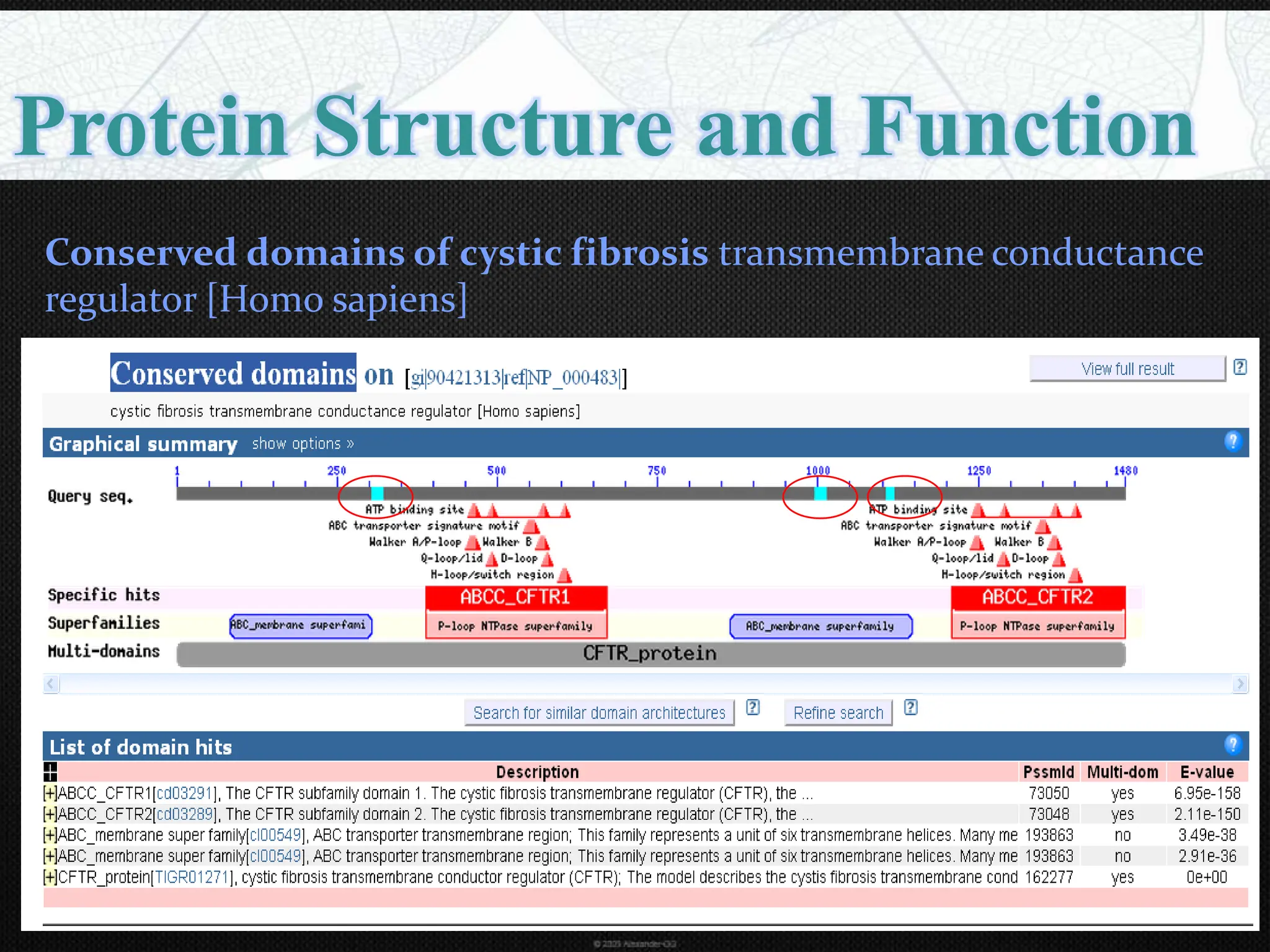cystic fibrosis_Abhishek kumar_2nd group.pptx