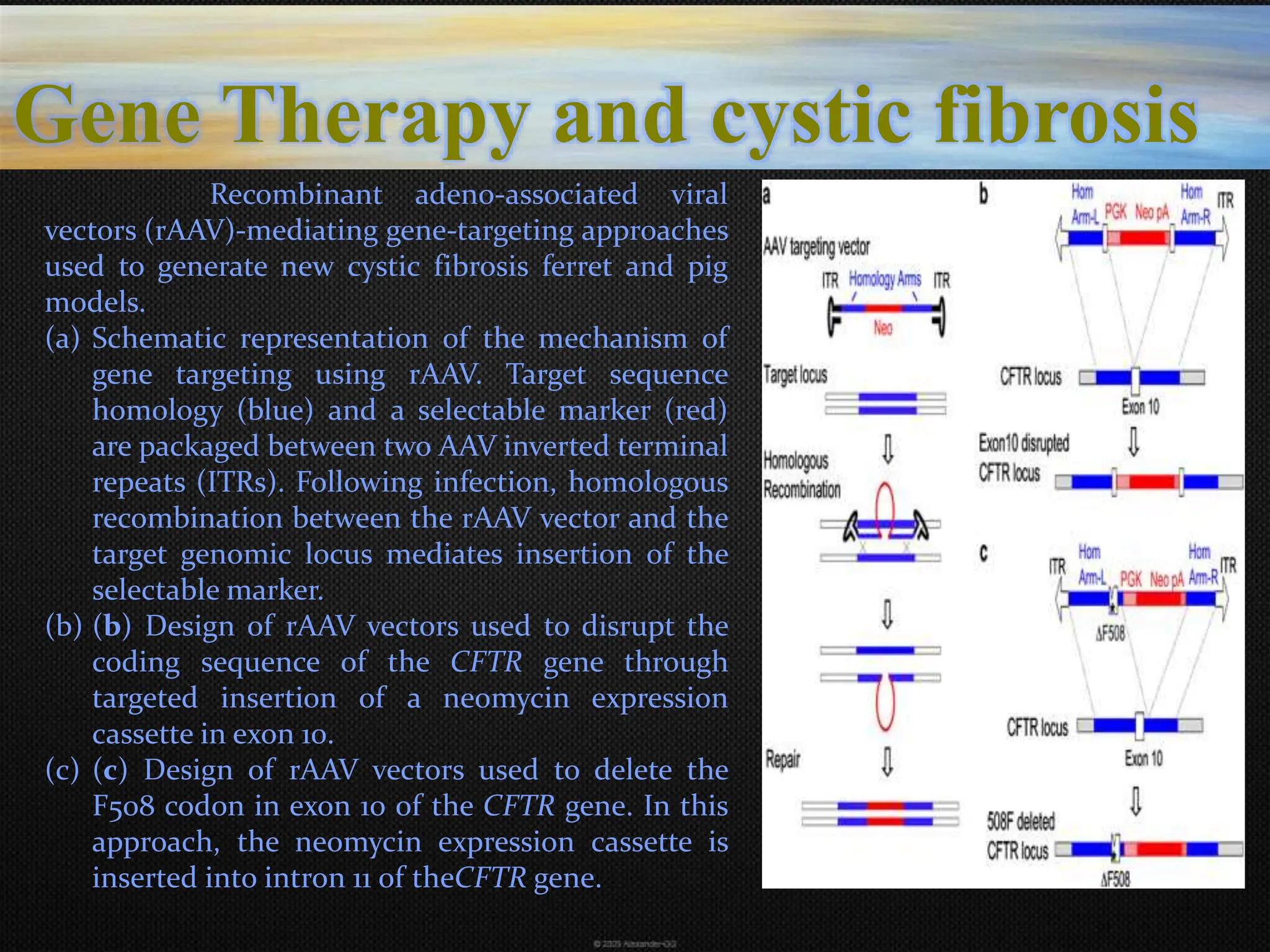 cystic fibrosis_Abhishek kumar_2nd group.pptx