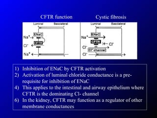 Cystic fibrosis and the kidney | PPT