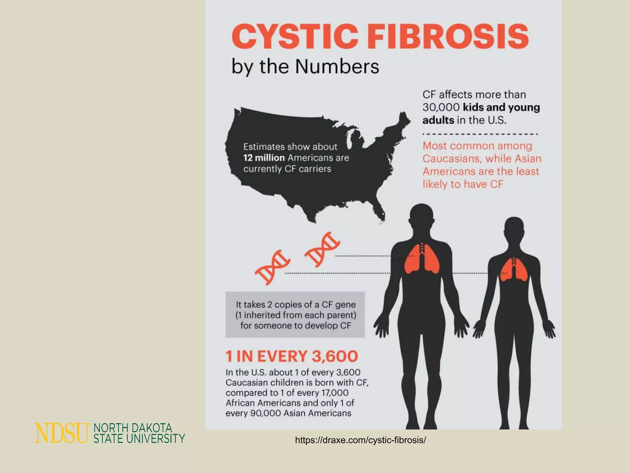 Cystic fibrosis case study | PPTX