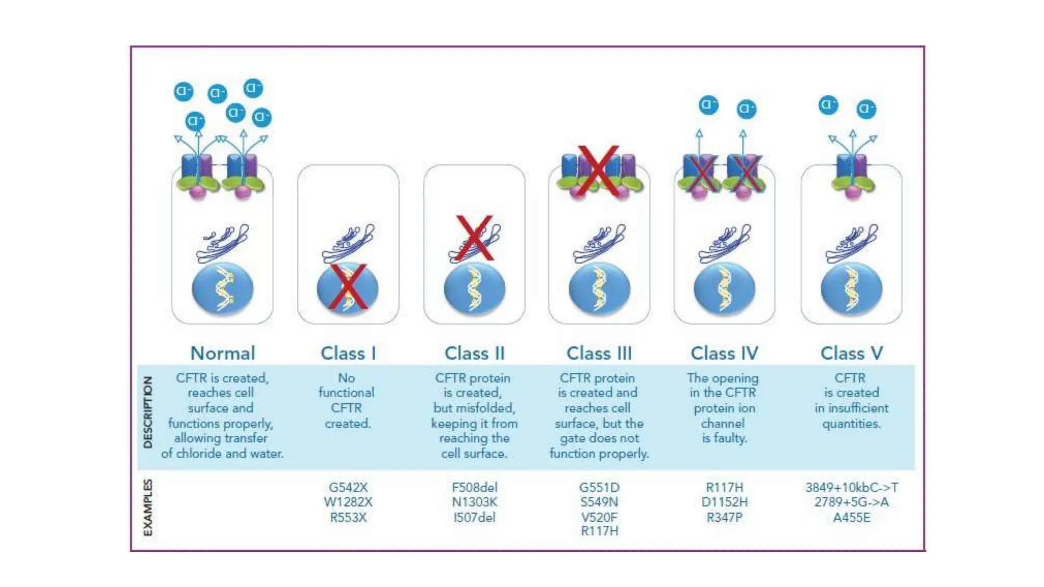 Gene therapy in the treatment of Cystic Fibrosis Dina Done.pptx