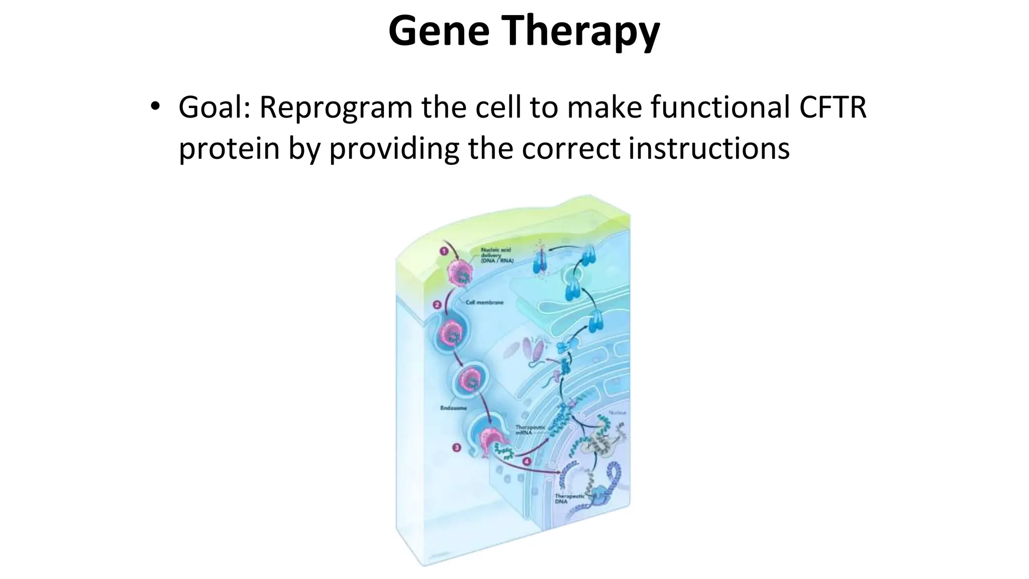 Gene therapy in the treatment of Cystic Fibrosis Dina Done.pptx