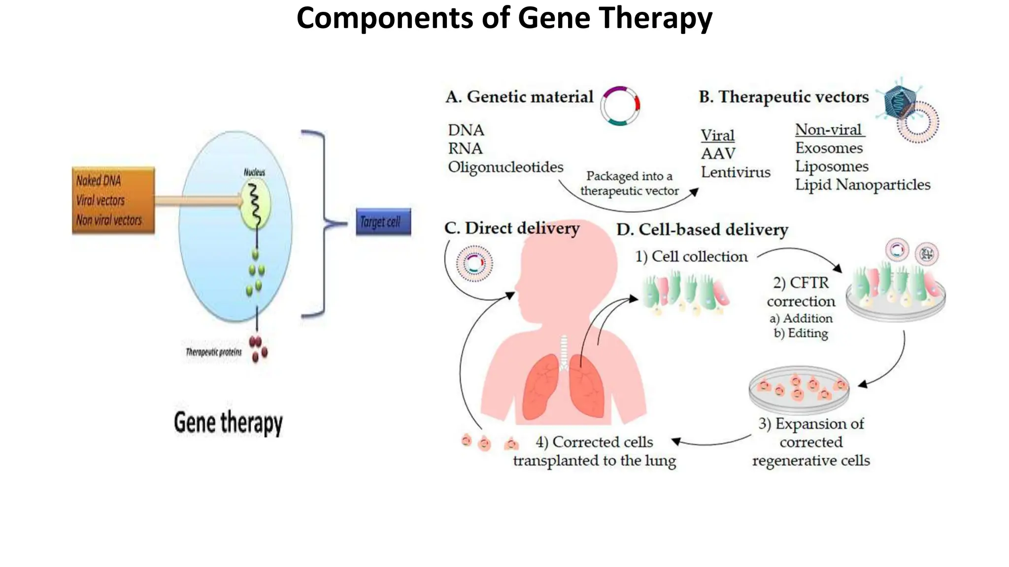 Gene therapy in the treatment of Cystic Fibrosis Dina Done.pptx