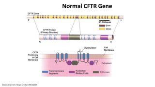 Gene therapy in the treatment of Cystic Fibrosis Dina Done.pptx