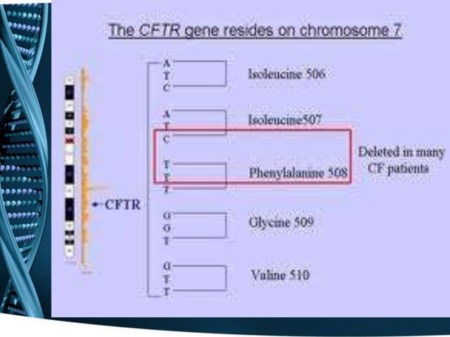 Cystic fibrosis (genetics) | PPT