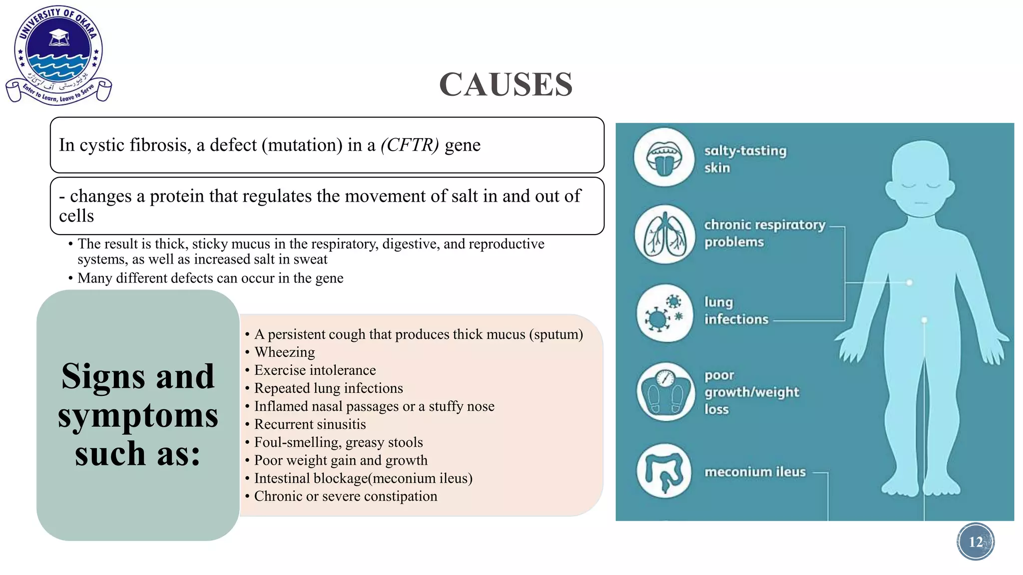 Cystic Fibrosis (CFTR) gene.pptx