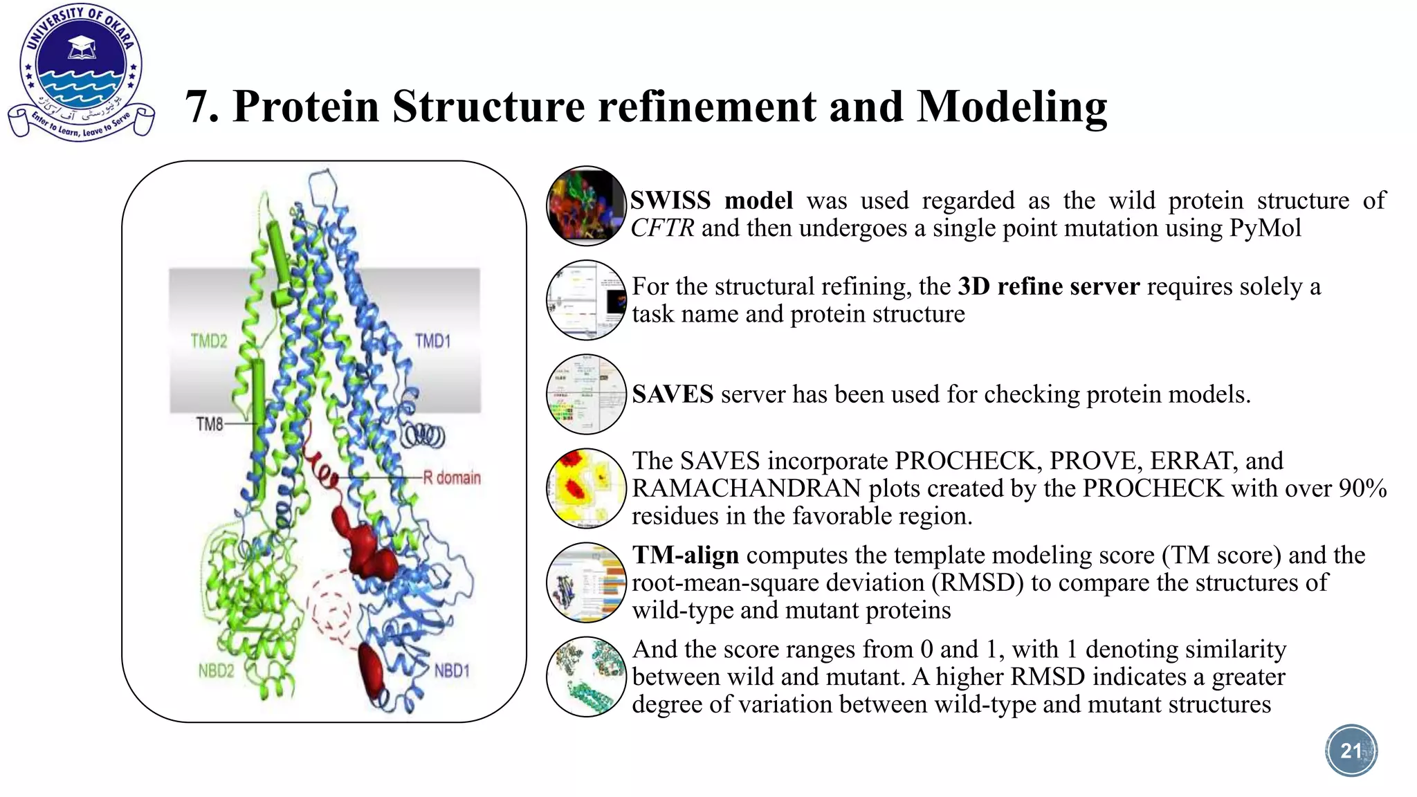 Cystic Fibrosis (CFTR) gene.pptx