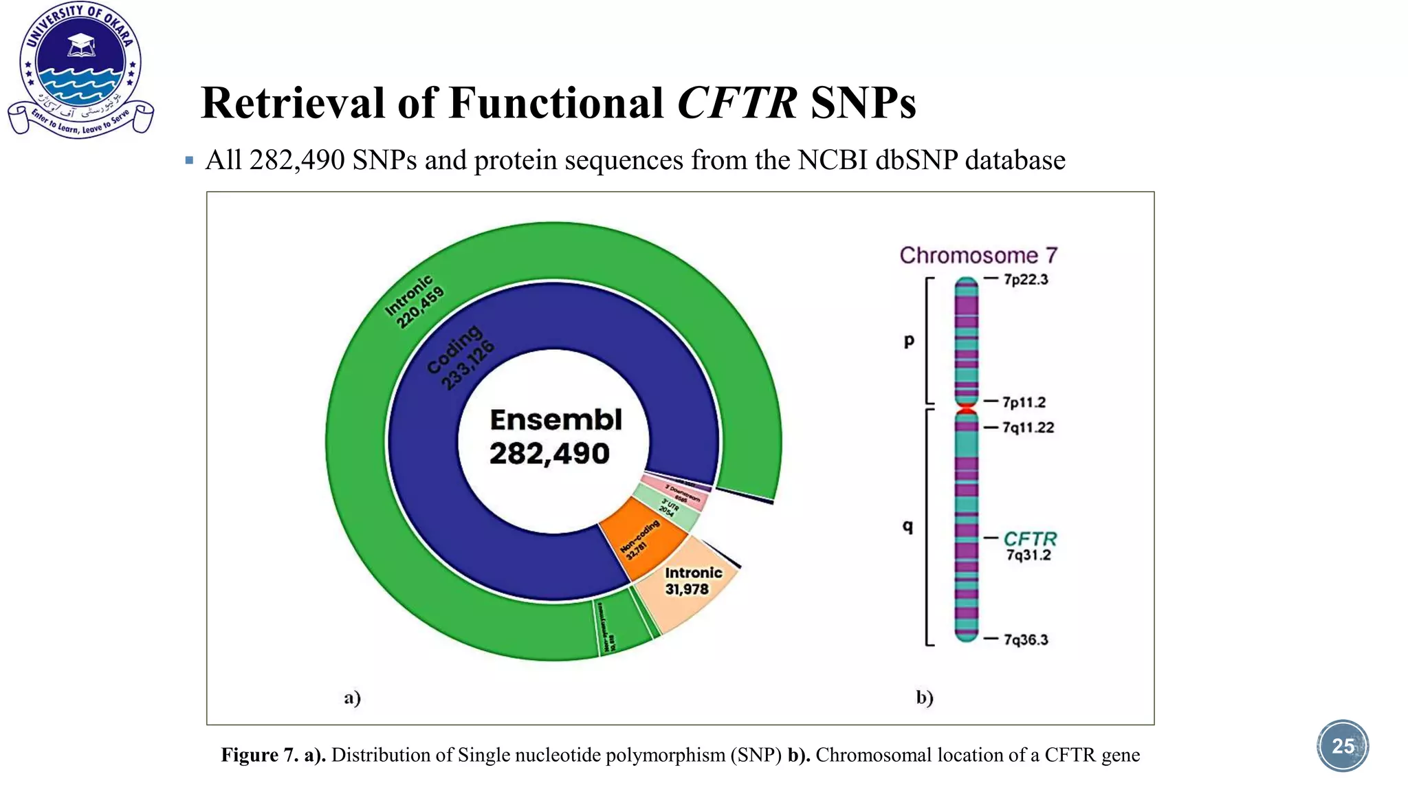 Cystic Fibrosis (CFTR) gene.pptx