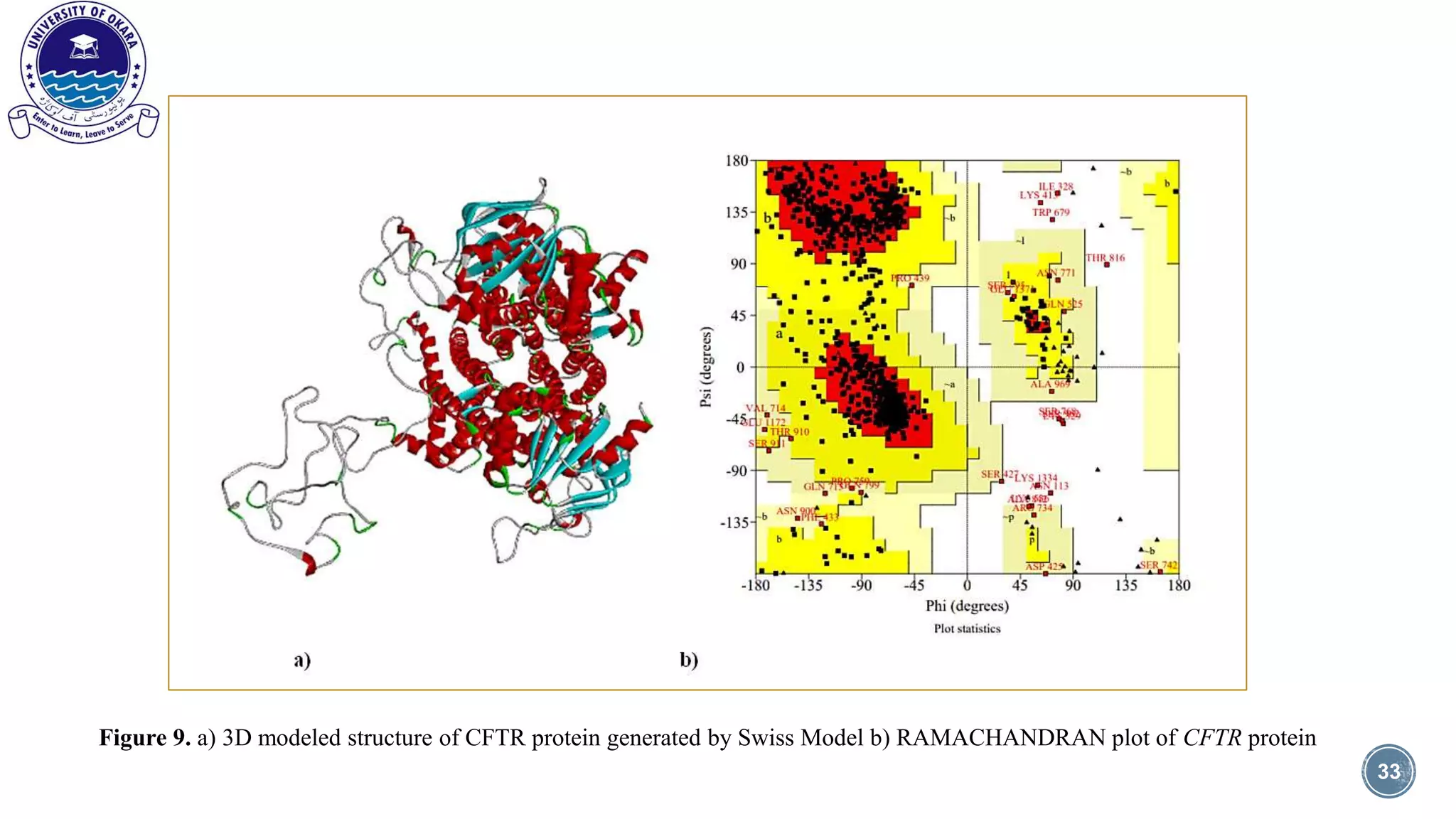 Cystic Fibrosis (CFTR) gene.pptx