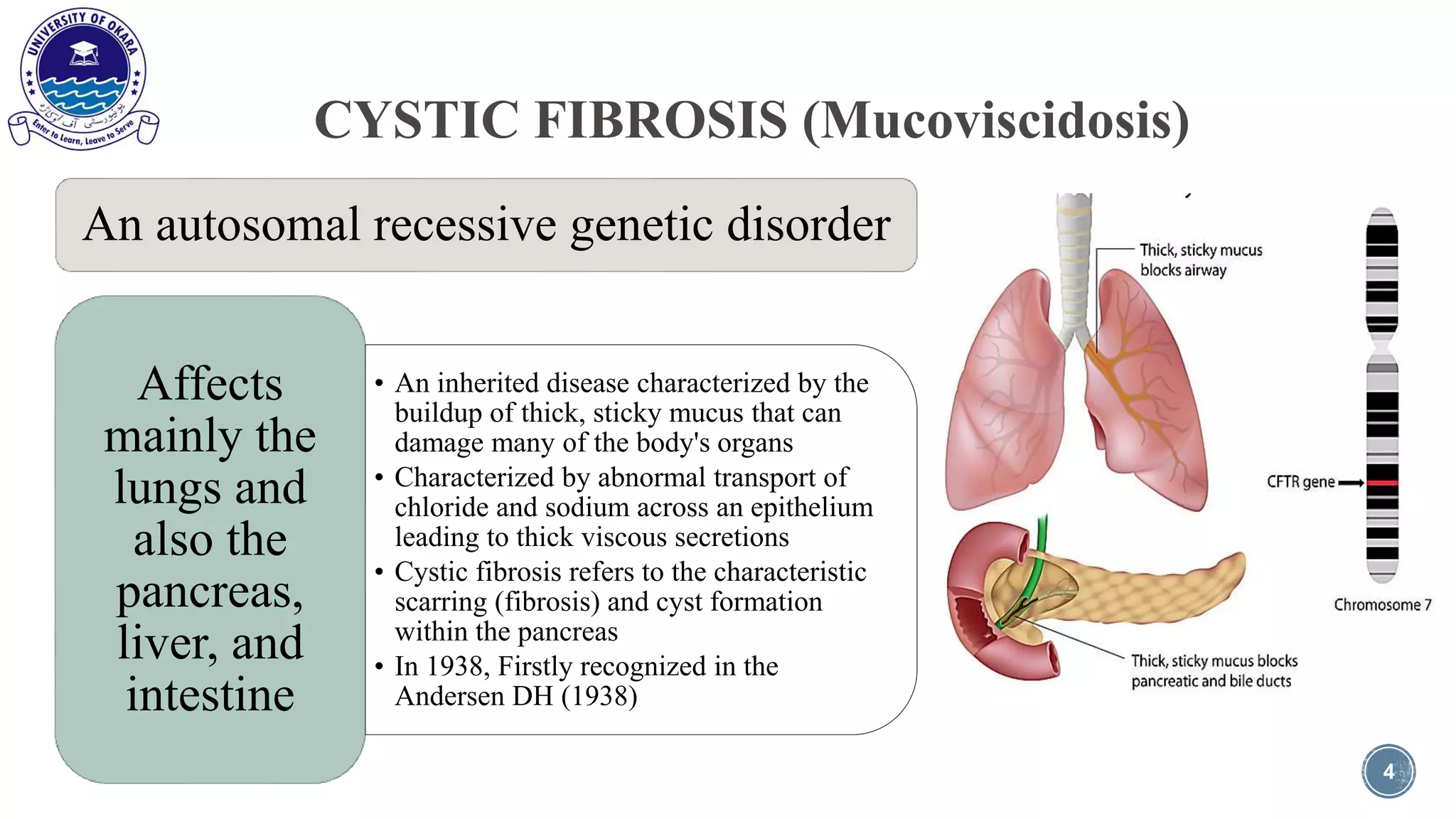 Cystic Fibrosis (CFTR) gene.pptx